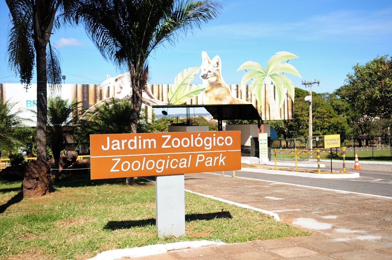 Zoológico de Brasília lança especial Missão Zoo – Ceilândia em Alerta